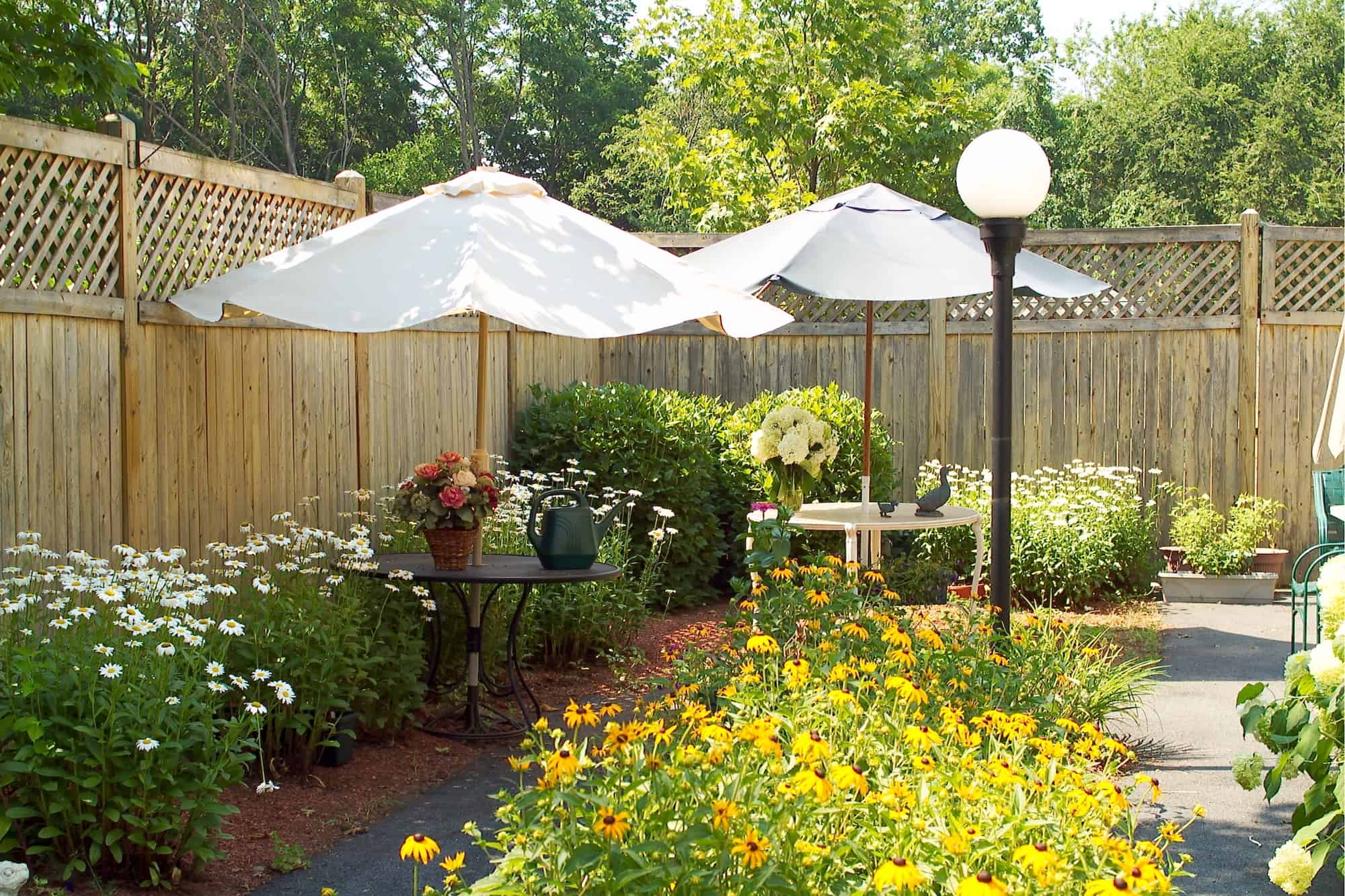 Explore Neville Place Assisted Living in Cambridge MA